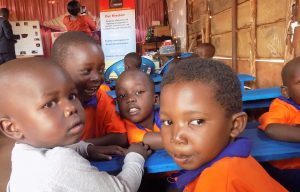 Wilde Ganzen - Help armoede bestrijden