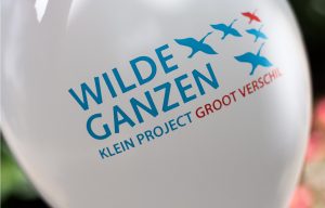 Wilde Ganzen - Help armoede bestrijden
