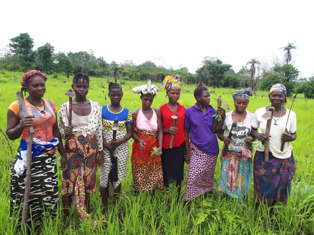 Jaaroverzicht: Wilde Ganzen in 2022 | Wilde Ganzen